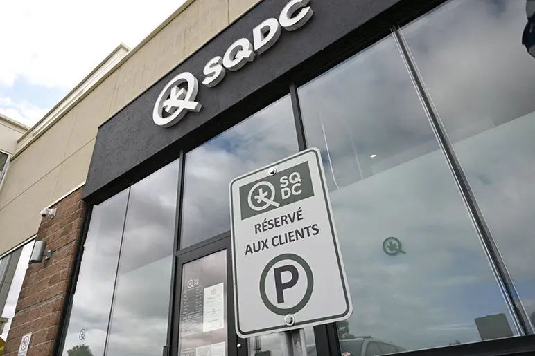 SQDC: les ventes de cannabis sont en hausse et le prix est en baisse au ...